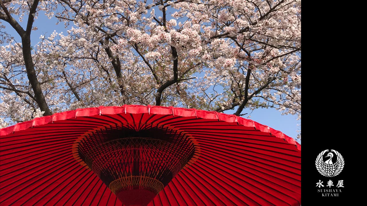 撮影小物　野点笠セット（赤毛氈付 床几台 2脚 付）の画像2