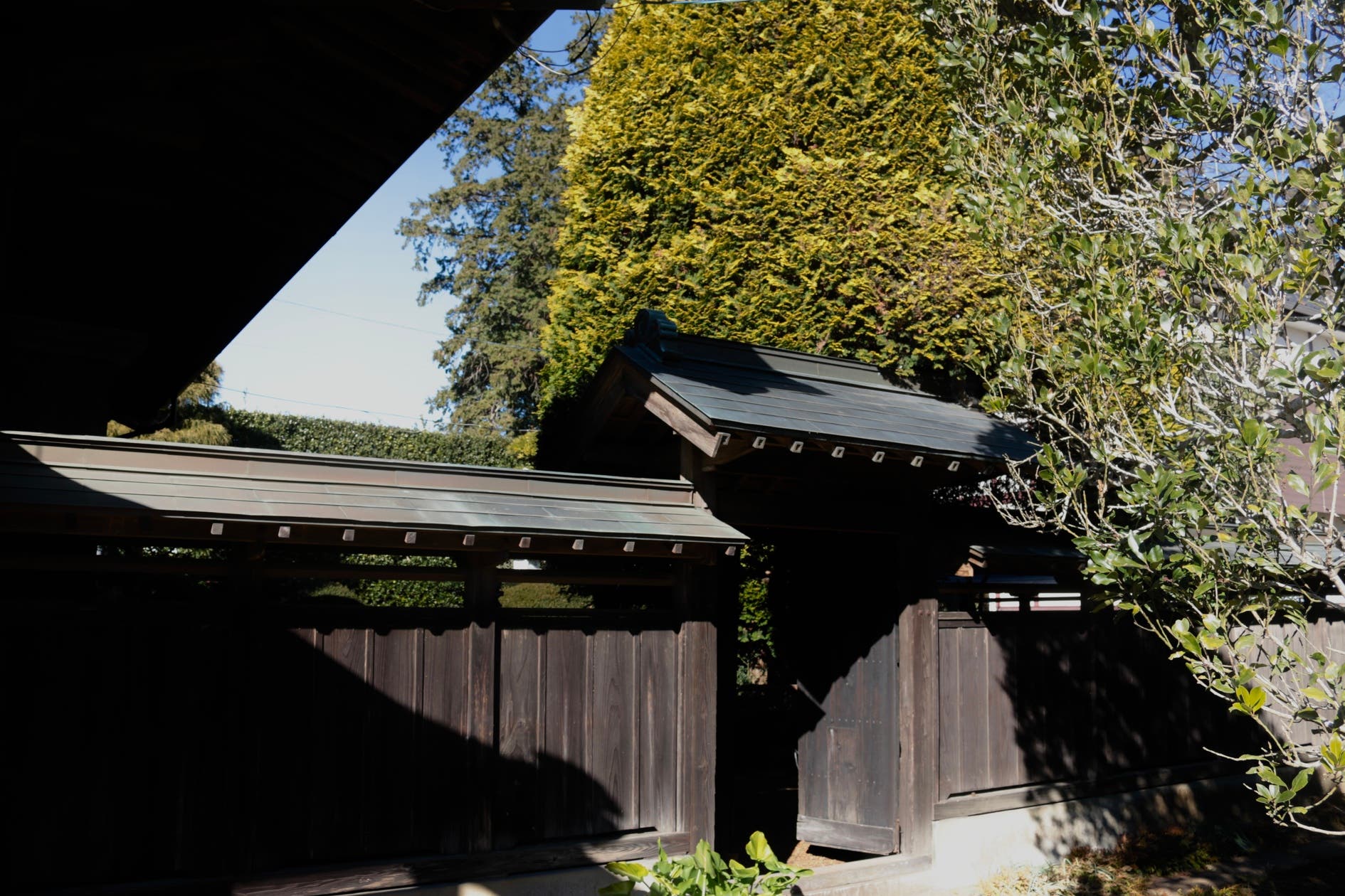 長屋門・母屋・3つの蔵・日本庭園・屋敷林で構成された農家屋敷の写真19