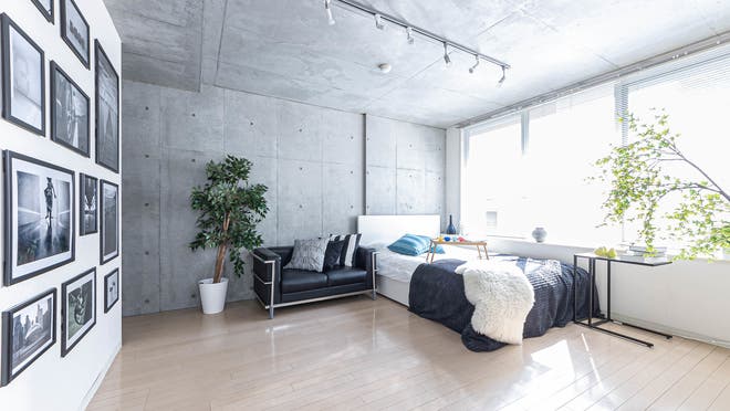 H1.豊富なグリーンとナチュラルな自然光がおすすめ 原宿・表参道のハウススタジオの写真3