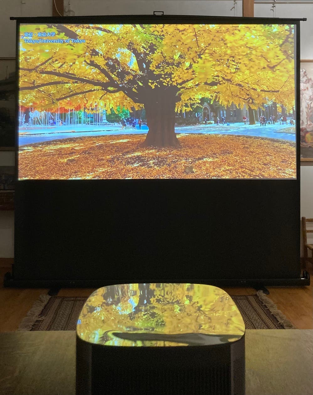 昭和の雰囲気を遺す東京の下町・蒲田の喧騒から一歩外れた住宅街に現れた、隠れ家的インテリジェントスペース「神楽」。の写真5