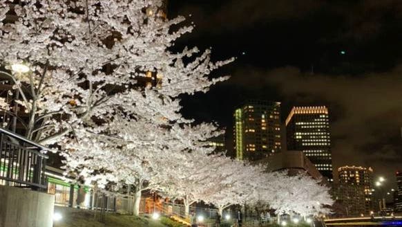 五反田駅から徒歩5分の住宅型レンタルスペースの写真6