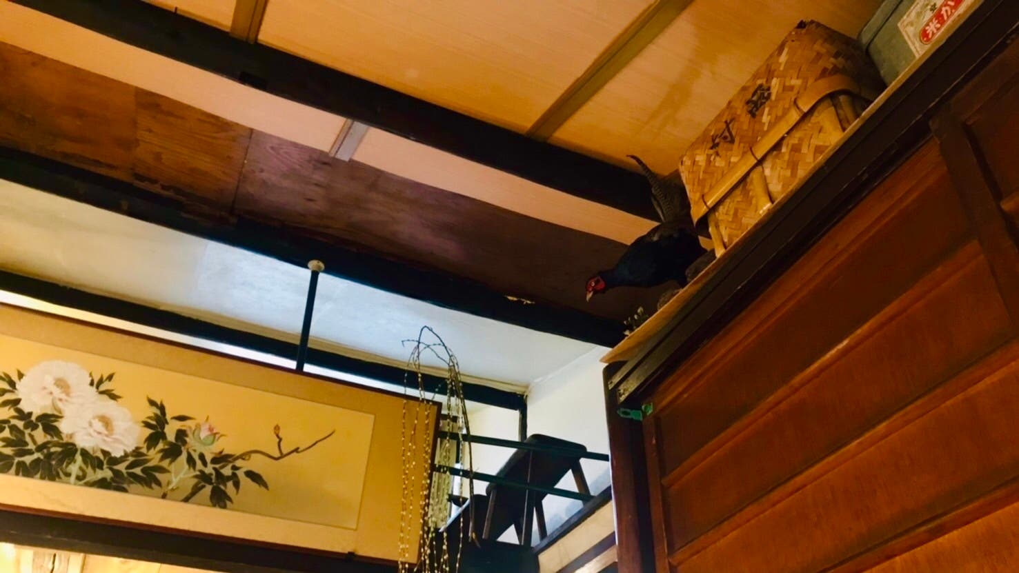 京阪七条徒歩3分🚉 古民家一棟貸し 無料設備充実✨ 業務用お好み焼きテーブルあり🎉 ☆パーティ/飲み会/女子会/ママ会☆の写真16