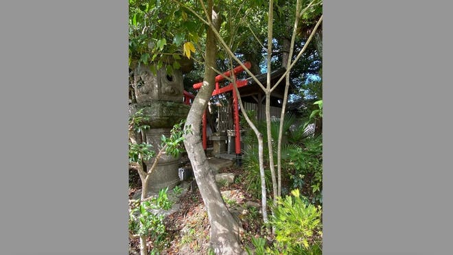 古民家・多目的スペース「桜」京都 亀岡 楽々荘【撮影/パーティ/イベントなどに】の写真8