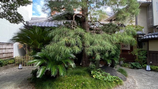 古民家・多目的スペース「桜」京都 亀岡 楽々荘【撮影/パーティ/イベントなどに】の写真14