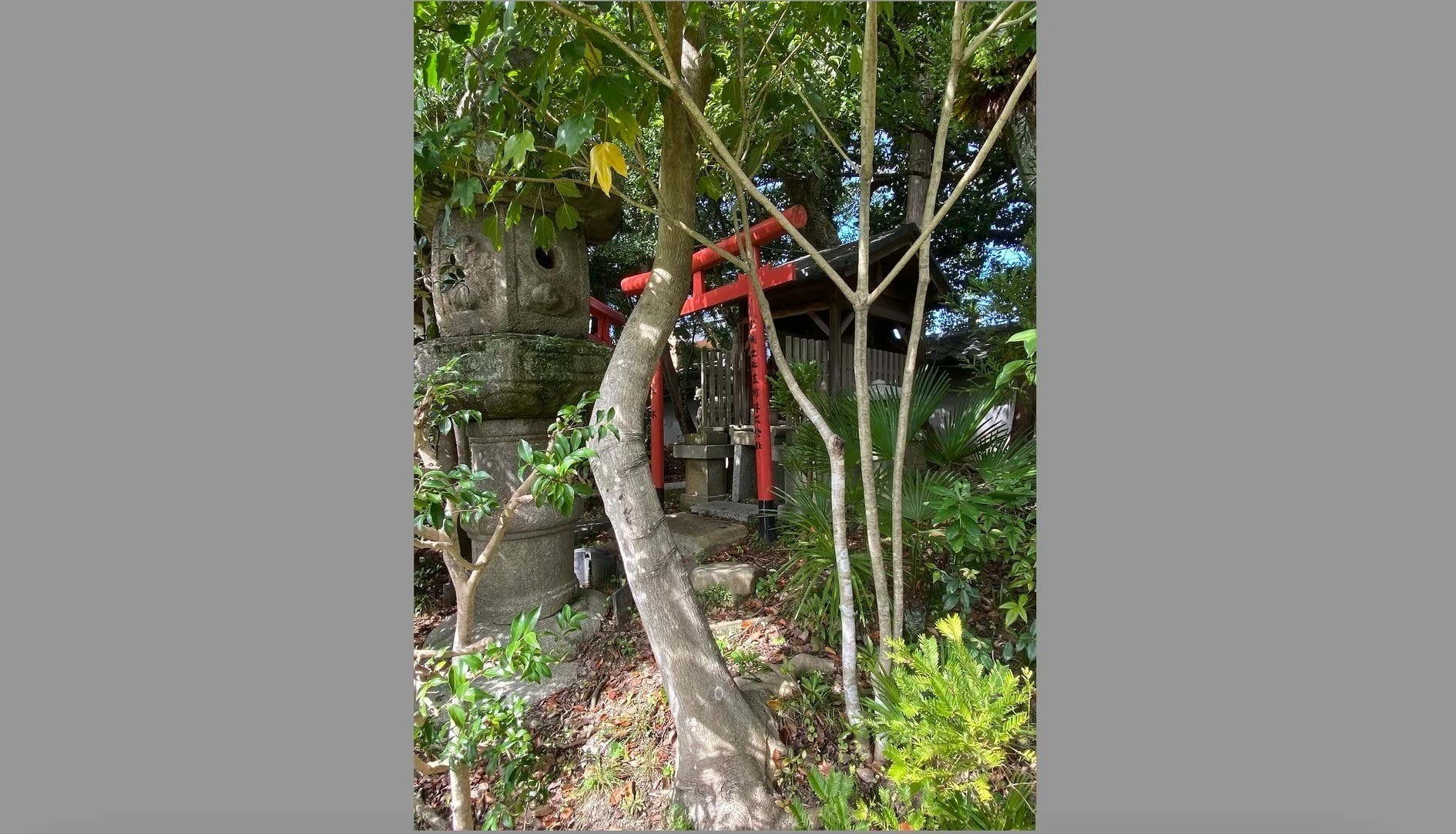 古民家・多目的スペース「藤袴」京都 亀岡 楽々荘【撮影/パーティ/イベントなどに】の写真11