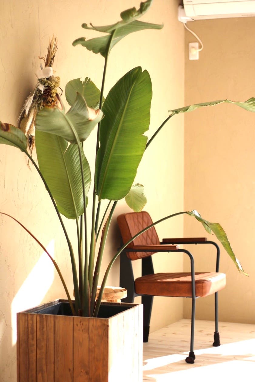 国分寺✨美容室写真スタジオ✨ヘアメイクオファー可✨駅徒歩1分の写真12