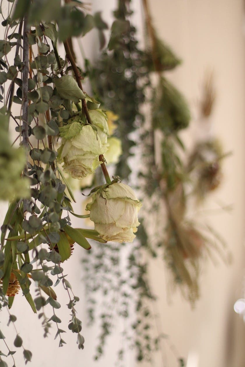 国分寺✨美容室写真スタジオ✨ヘアメイクオファー可✨駅徒歩1分の写真14