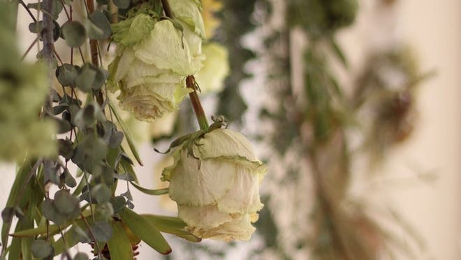 国分寺✨美容室写真スタジオ✨ヘアメイクオファー可✨駅徒歩1分の写真14