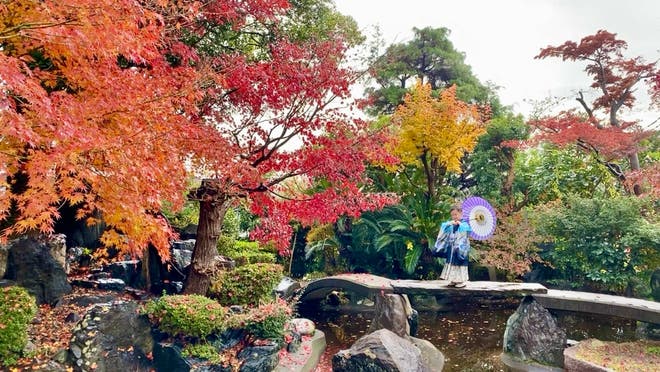 横浜【日本庭園と古民家】飯田屋〜iidayajapan〜東京から20分、竹林を抜けると別世界。四季折々の花々がお迎え致します〜の写真2