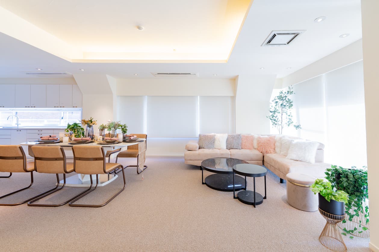 スペモ📷クリスマス🎄自然光✨️撮影Studio💖コスプレ👗ポートレート🪞オフサイト💻341_S-Studio恵比寿の写真9