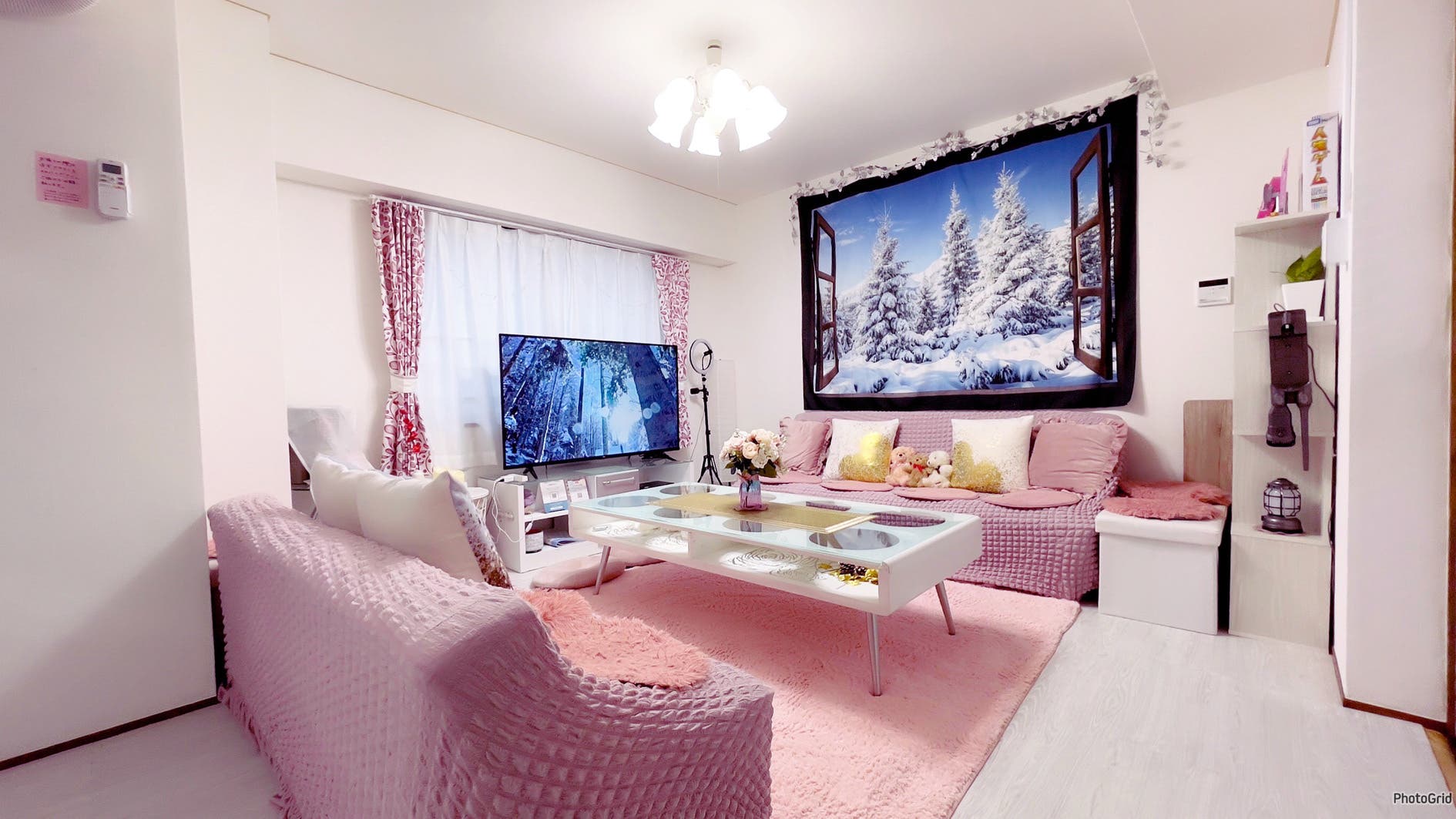 【西葛西駅2分】55型AndroidTV/撮影/ボドゲ/鑑賞会/女子会/コスプレ/飲み会/デート/観戦の写真11