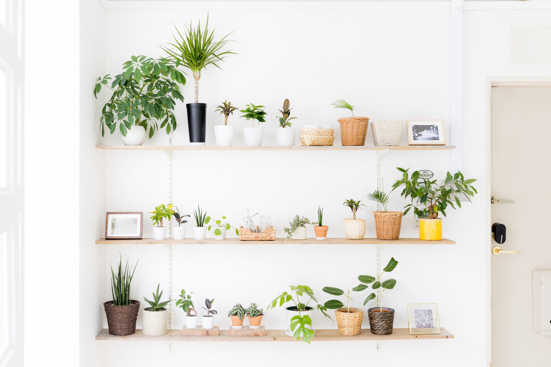 【笹塚・幡ヶ谷】広く明るい145㎡の白壁撮影スタジオ。新宿駅西口よりタクシー10分の写真5