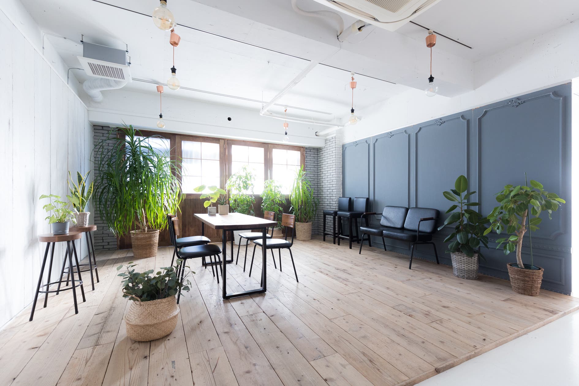 【笹塚・幡ヶ谷】広く明るい145㎡の白壁撮影スタジオ。新宿駅西口よりタクシー10分の写真13