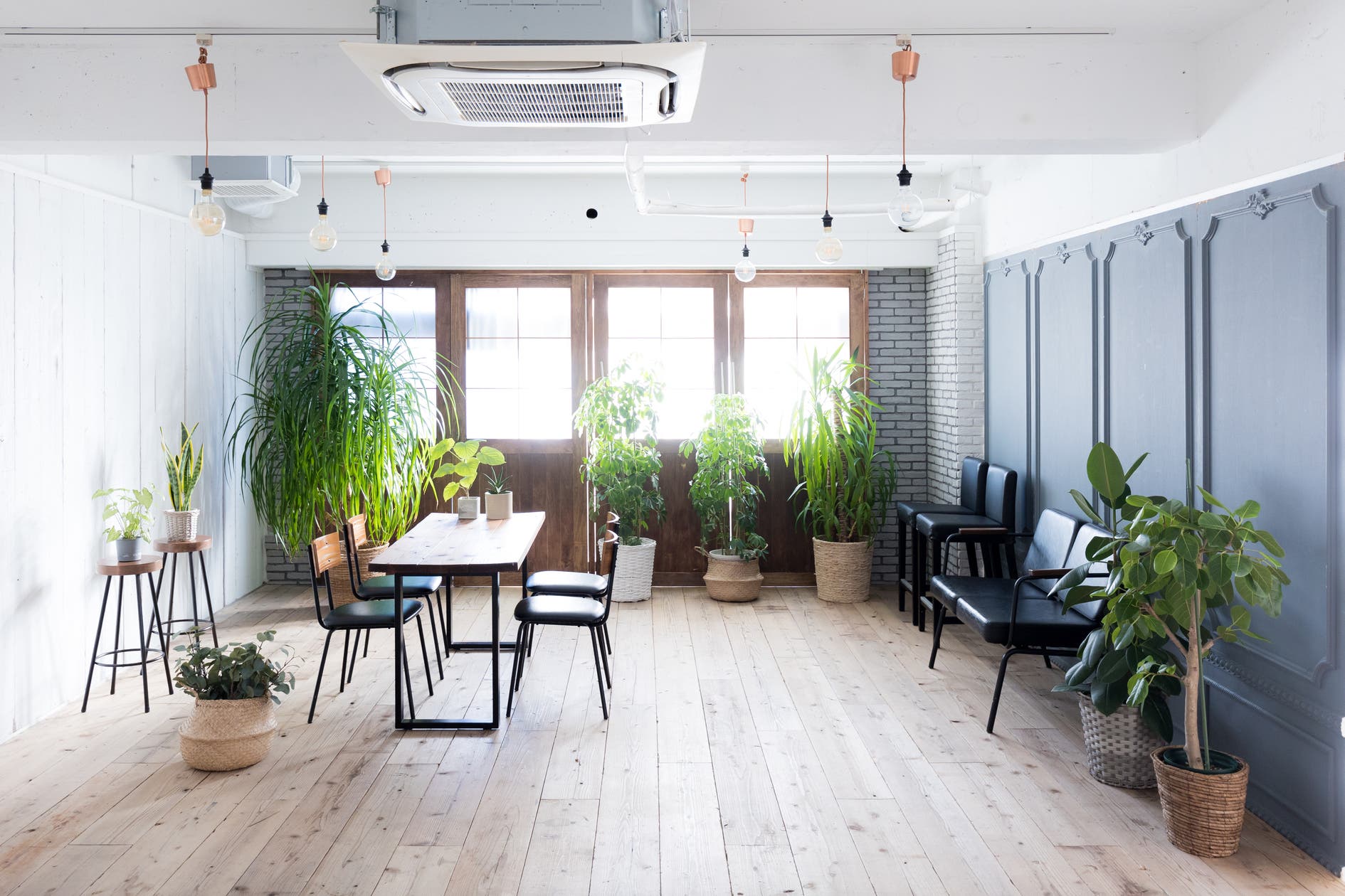 【笹塚・幡ヶ谷】広く明るい145㎡の白壁撮影スタジオ。新宿駅西口よりタクシー10分の写真14