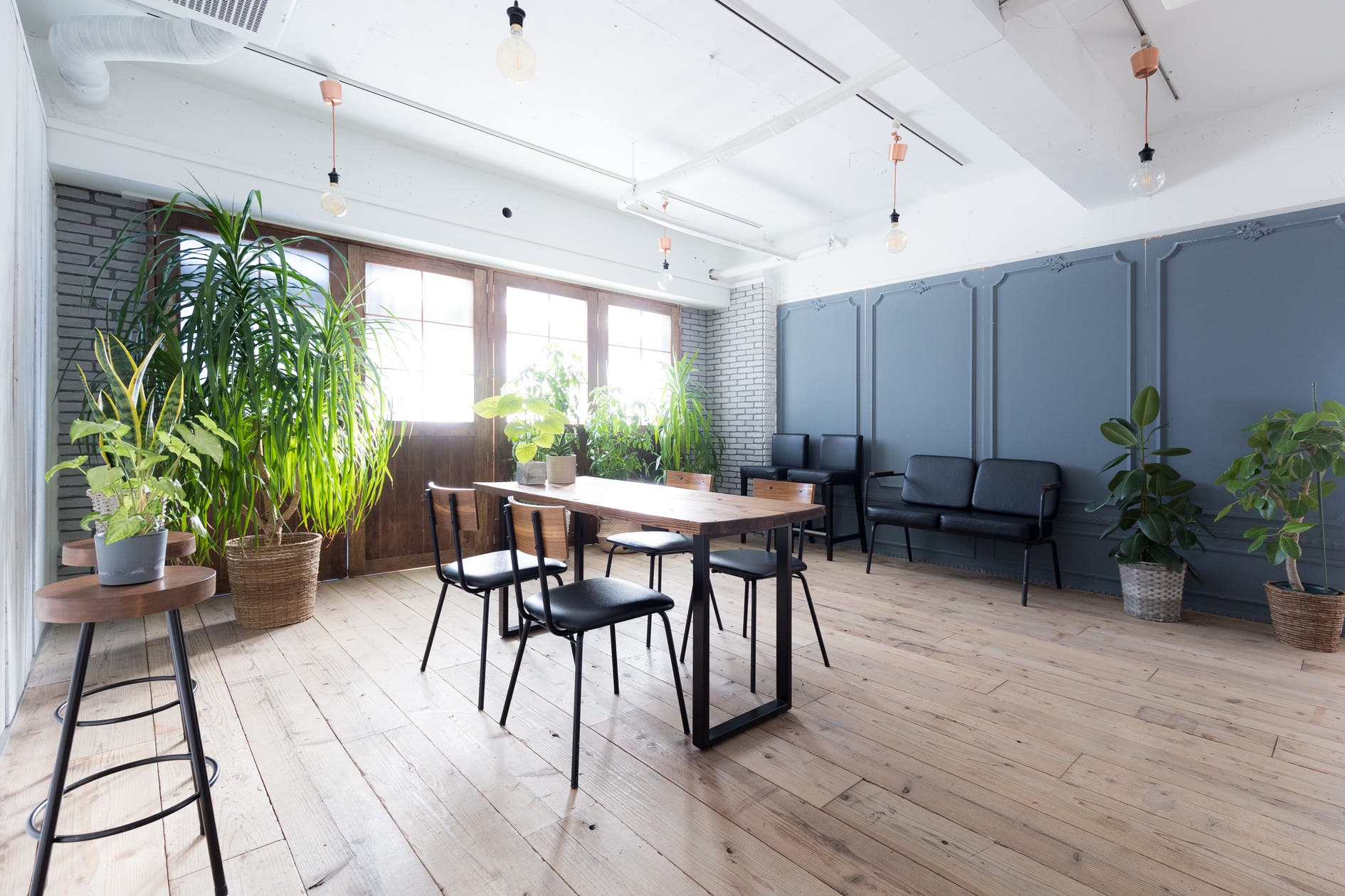 【笹塚・幡ヶ谷】広く明るい145㎡の白壁撮影スタジオ。新宿駅西口よりタクシー10分の写真15