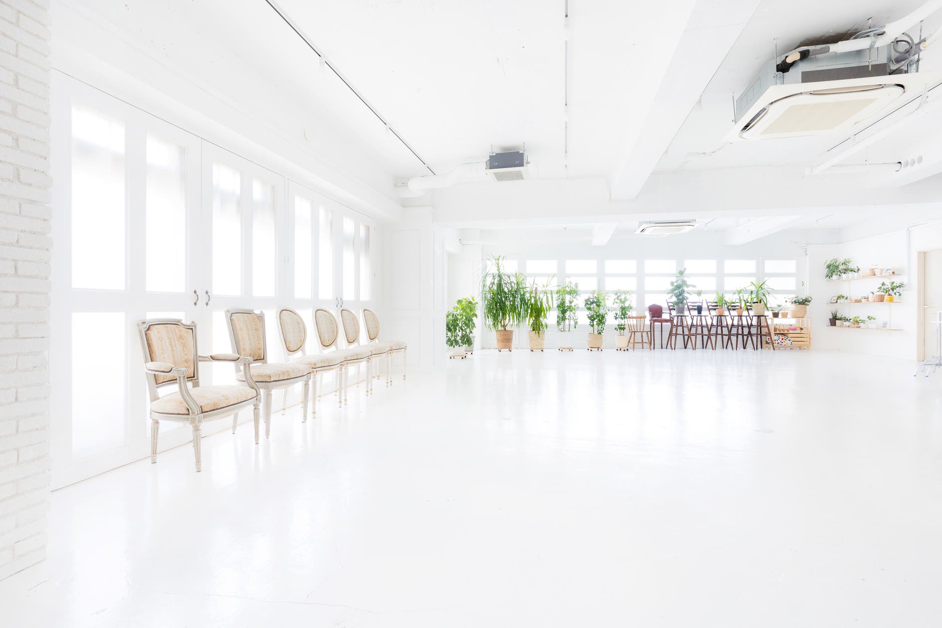 【笹塚・幡ヶ谷】木目が印象的で家具や植物が豊富な撮影スタジオ。新宿駅西口よりタクシー10分の写真11