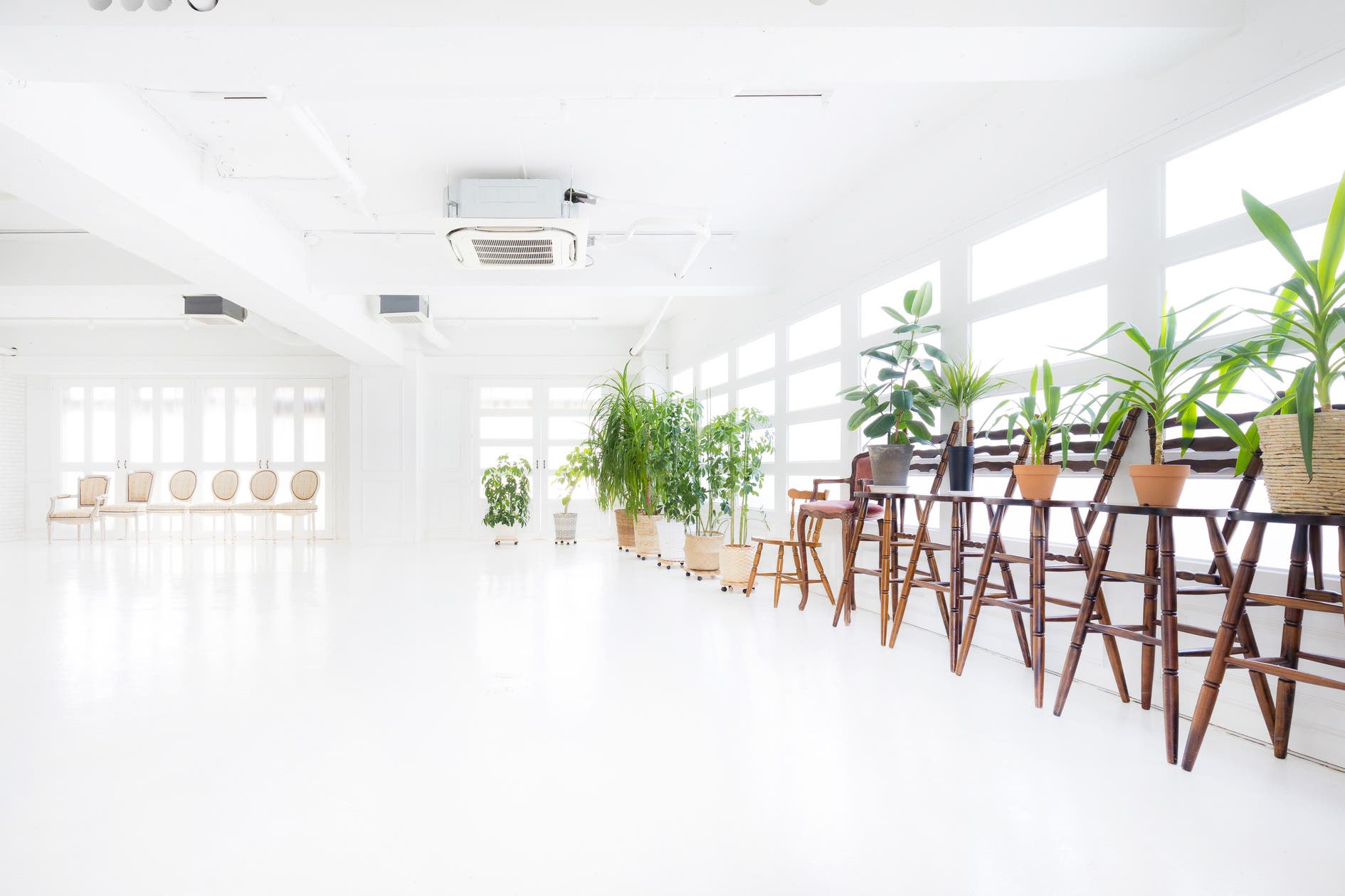 【笹塚・幡ヶ谷】木目が印象的で家具や植物が豊富な撮影スタジオ。新宿駅西口よりタクシー10分の写真12