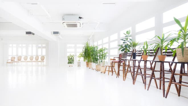 【笹塚・幡ヶ谷】木目が印象的で家具や植物が豊富な撮影スタジオ。新宿駅西口よりタクシー10分の写真12