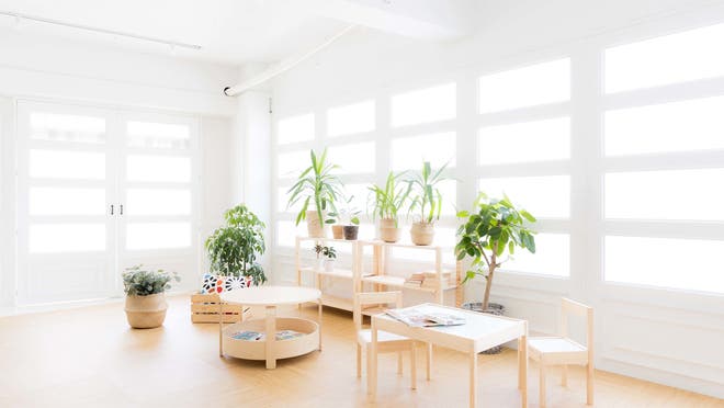 【笹塚・幡ヶ谷】木目が印象的で家具や植物が豊富な撮影スタジオ。新宿駅西口よりタクシー10分の写真19