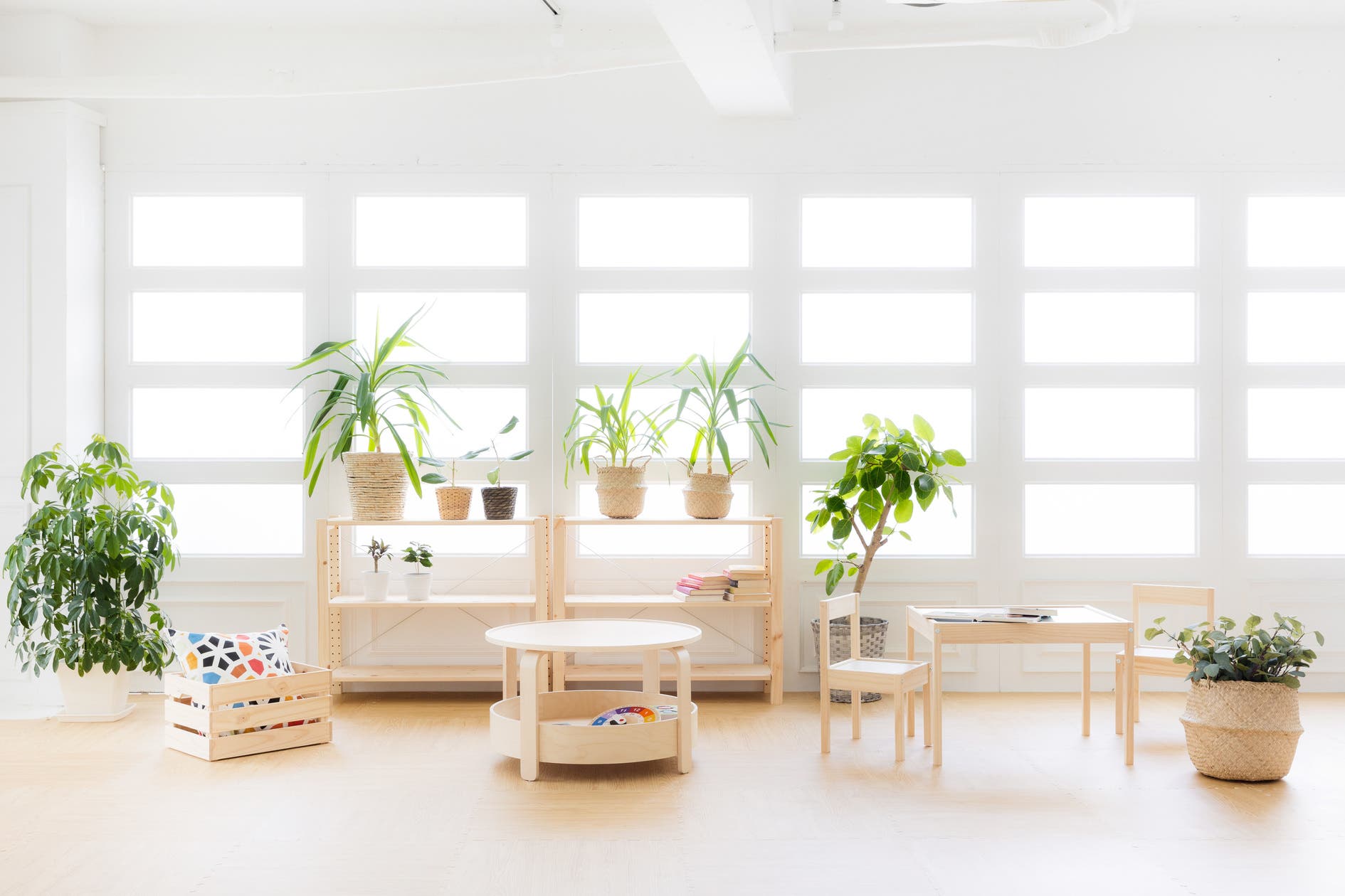 【笹塚・幡ヶ谷】木目が印象的で家具や植物が豊富な撮影スタジオ。新宿駅西口よりタクシー10分の写真20