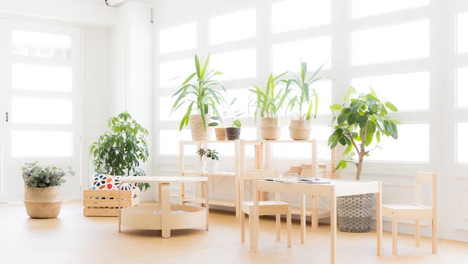 【笹塚・幡ヶ谷】木目が印象的で家具や植物が豊富な撮影スタジオ。新宿駅西口よりタクシー10分の写真21