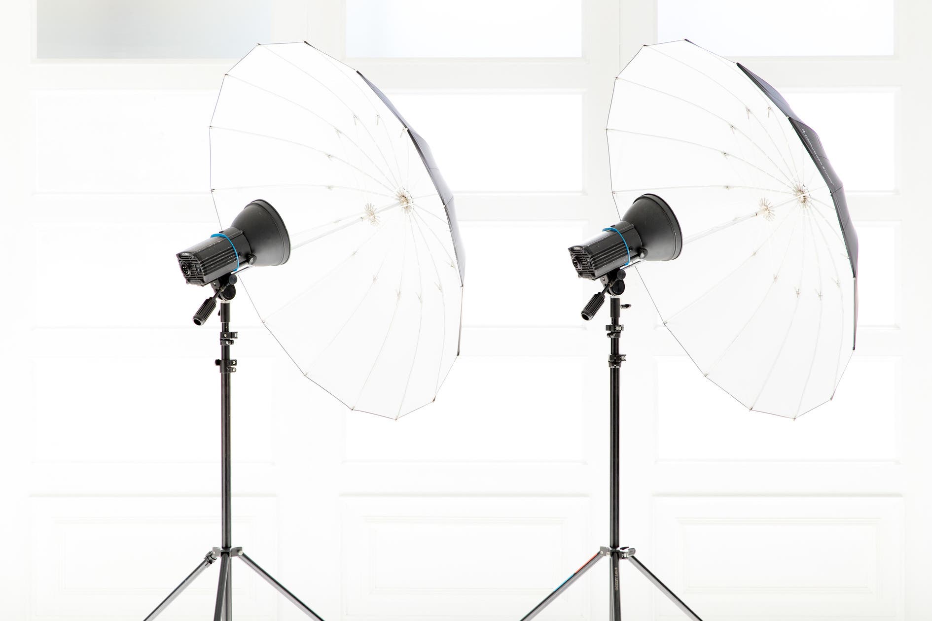 【笹塚・幡ヶ谷】木目が印象的で家具や植物が豊富な撮影スタジオ。新宿駅西口よりタクシー10分の写真27