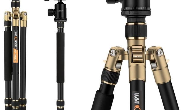 中目黒9分のデザイナーズアトリエスタジオ 1Fの写真19