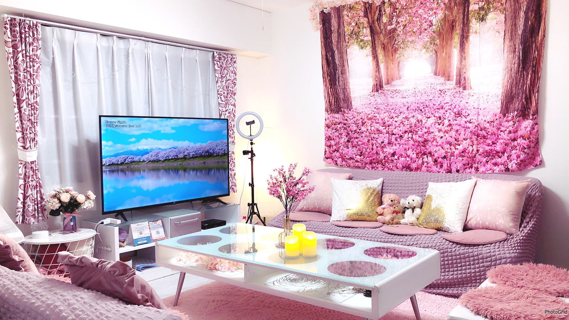 【西葛西駅2分】55型AndroidTV/撮影/ボドゲ/鑑賞会/女子会/コスプレ/飲み会/デート/観戦の写真25