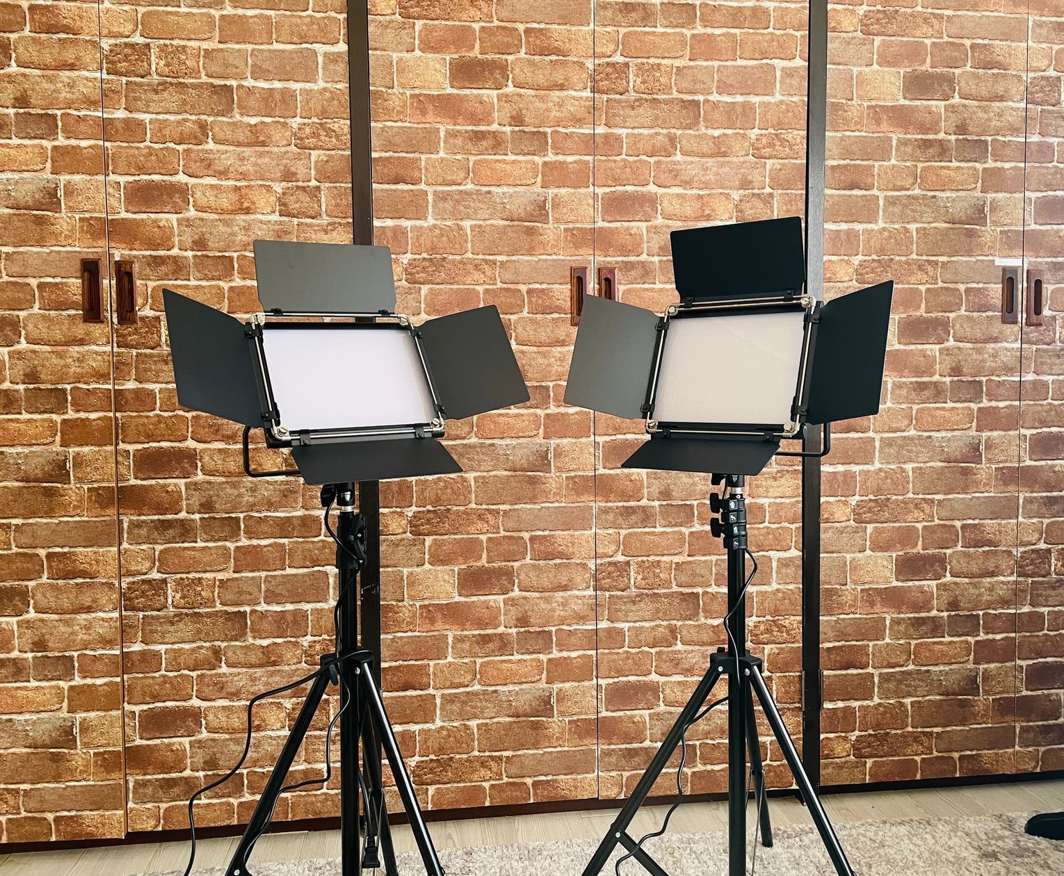 無料【NEEWER　LED照明ライト×2】の画像1