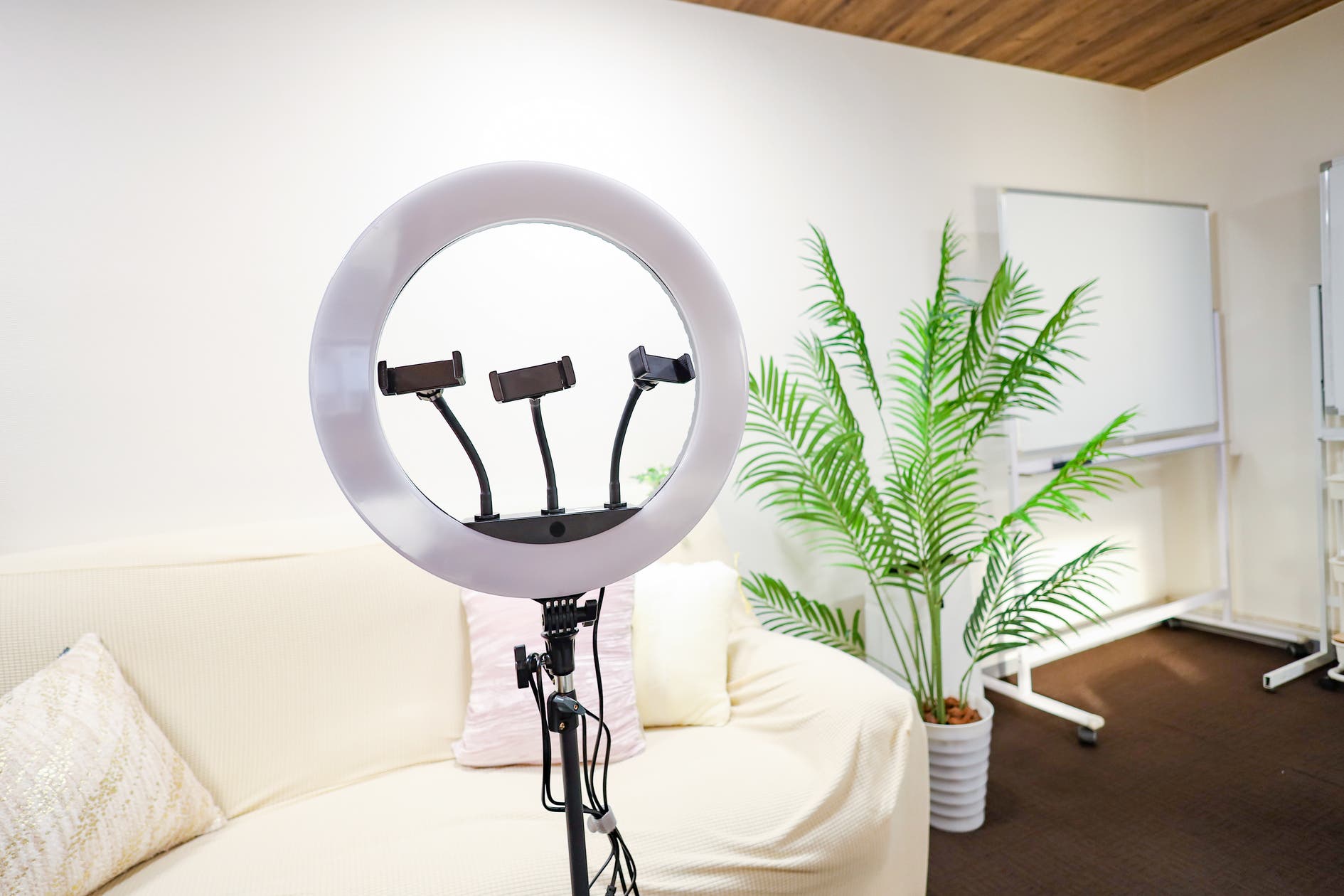 四ツ谷駅🚶‍♂️2分🍀最大20名可🍀 光WIFI/大モニター/ホワイトボード/施術ベッド備品全無料✨1日プラン有✨会議/ゲームの写真6