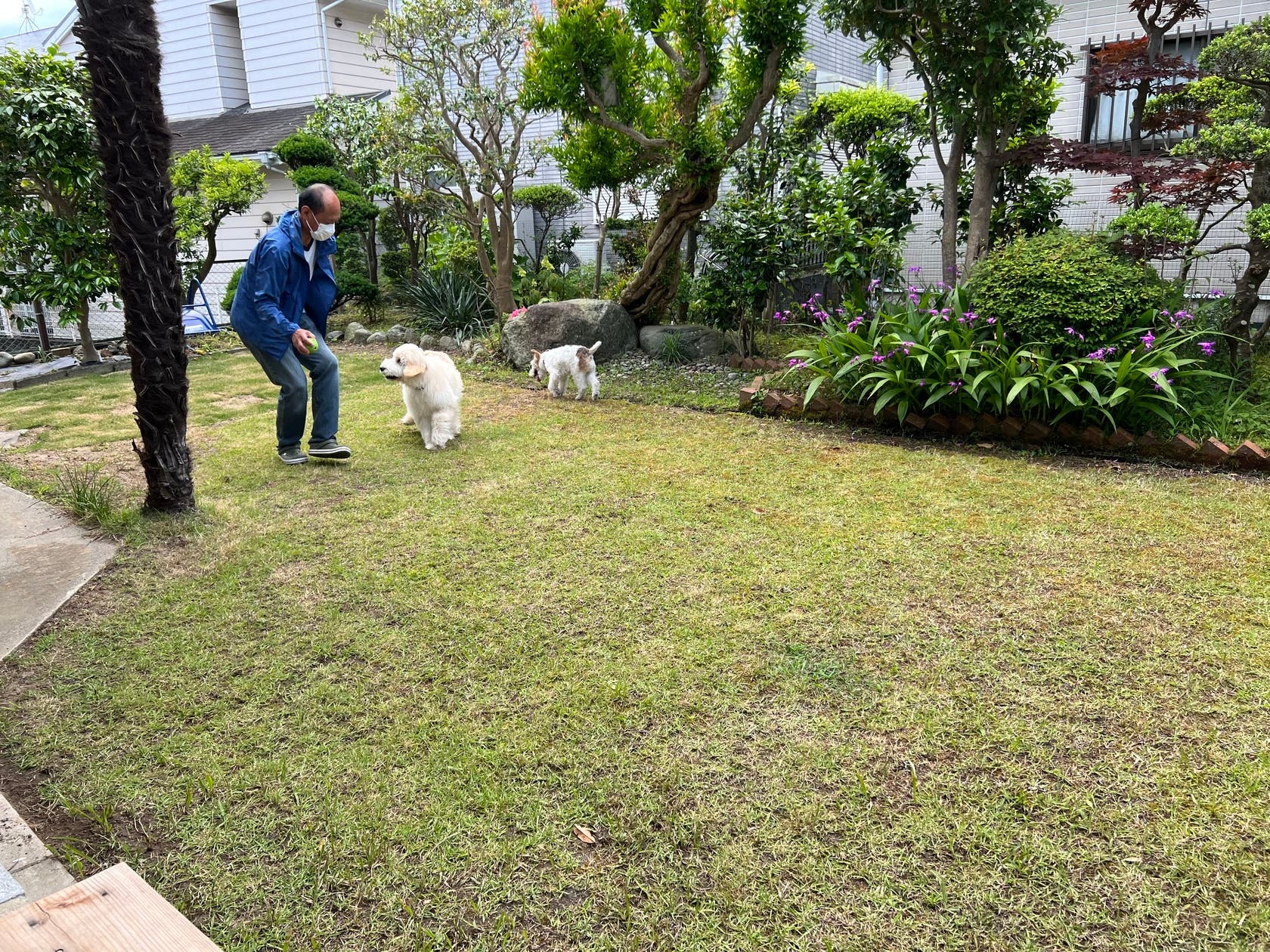 バーベキューセットの画像4