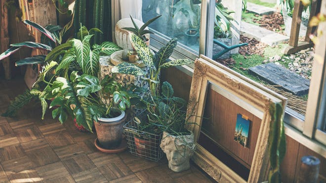 【三軒茶屋駅徒歩2分】CM、MV、商品撮影に。生活感とフォトジェニックを兼ね備えた、都会の小さな山小屋風スタジオの写真7