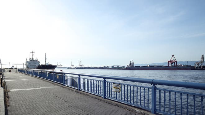 長期イベント、ペット撮影も要相談!海近くのエリアに佇むレトロビルの1F。の写真22