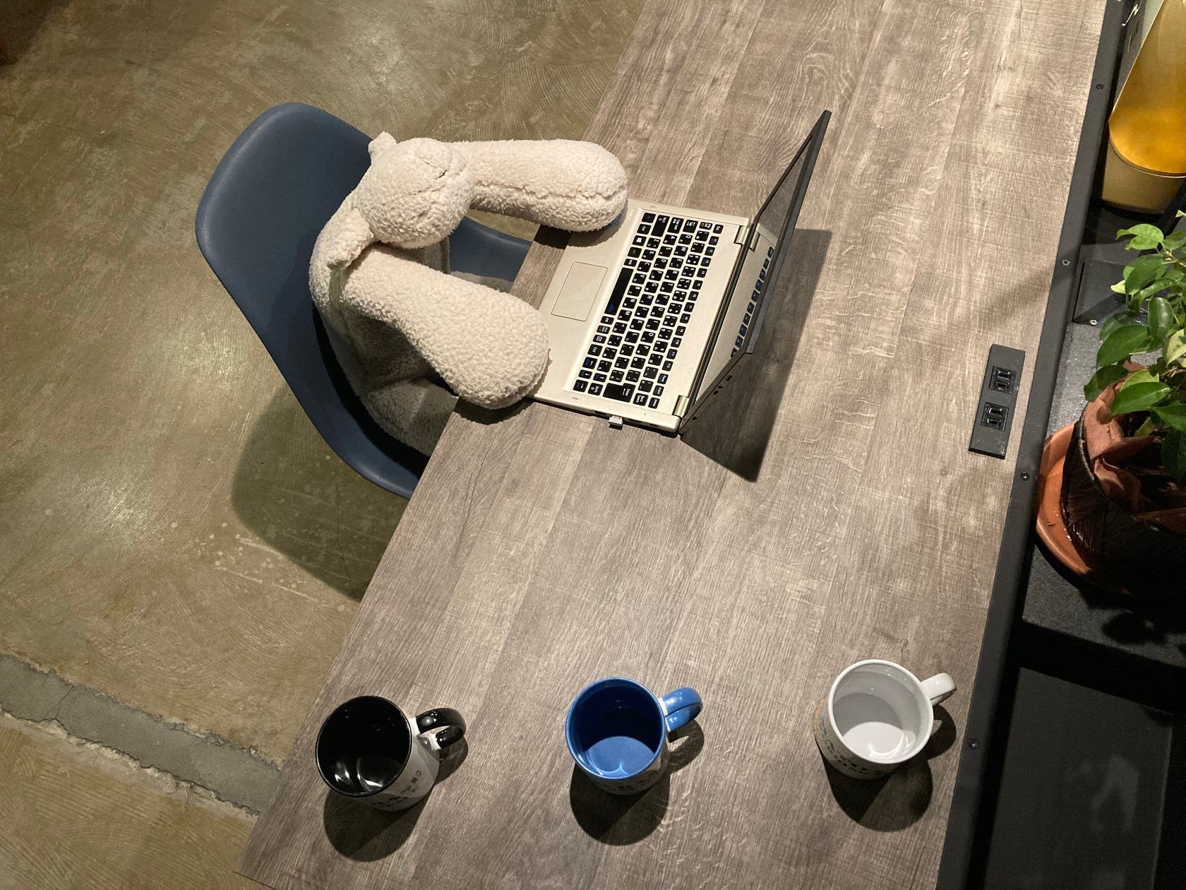 【大型イベントスペース】JR奈良駅から徒歩4分のWi-Fi完備の約100㎡30席のグリーンが多い癒しのイベント空間です。の写真16