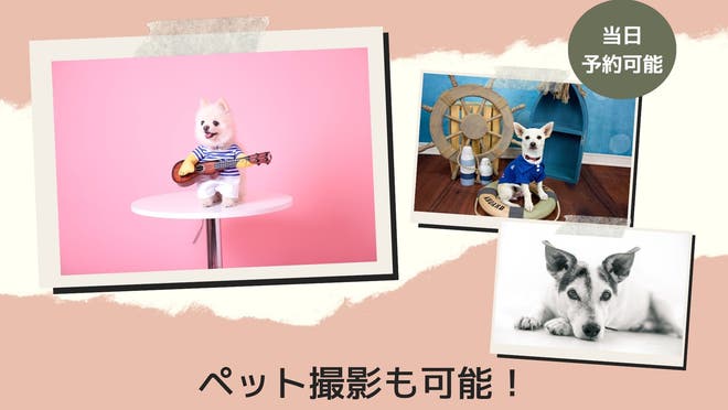 Bスタジオ|9種類の背景紙&人物撮影機材完備!物撮り機材も完備!ポートレート・物撮り・24H無人・人数制限なし・ペット可の写真3