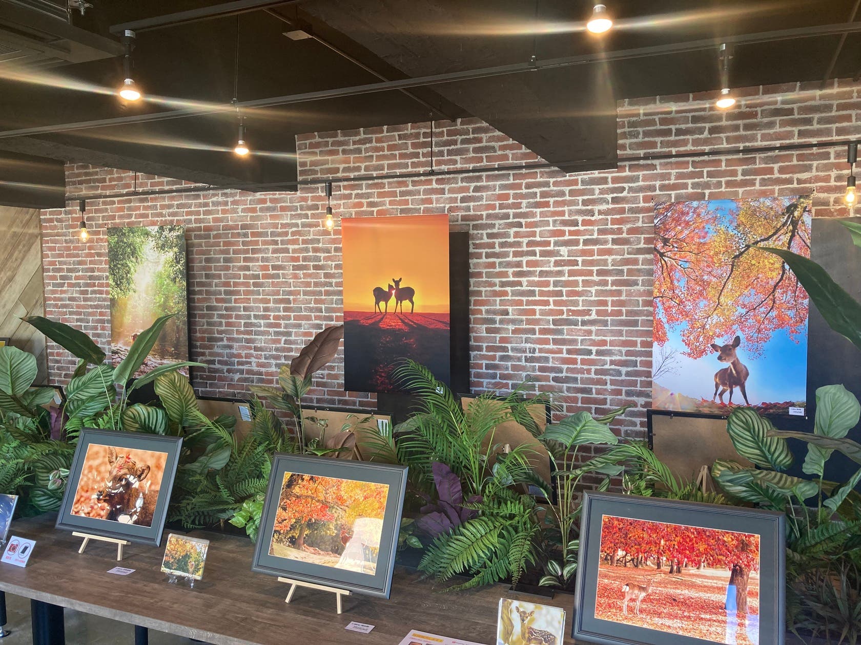 【大型イベントスペース】JR奈良駅から徒歩4分のWi-Fi完備の約100㎡30席のグリーンが多い癒しのイベント空間です。の写真4