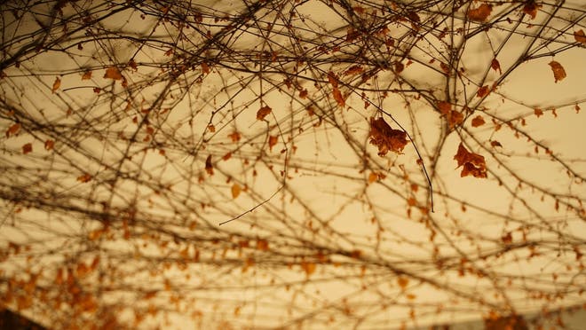 カフェスタイルHAZUKIの写真20