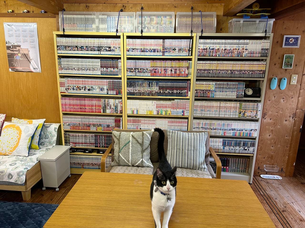 木のぬくもりを感じる個室スペース。様々な目的利用に！猫もいるニャ🐱の写真18