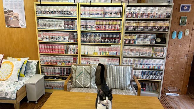 木のぬくもりを感じる個室スペース。様々な目的利用に!猫もいるニャ🐱の写真18