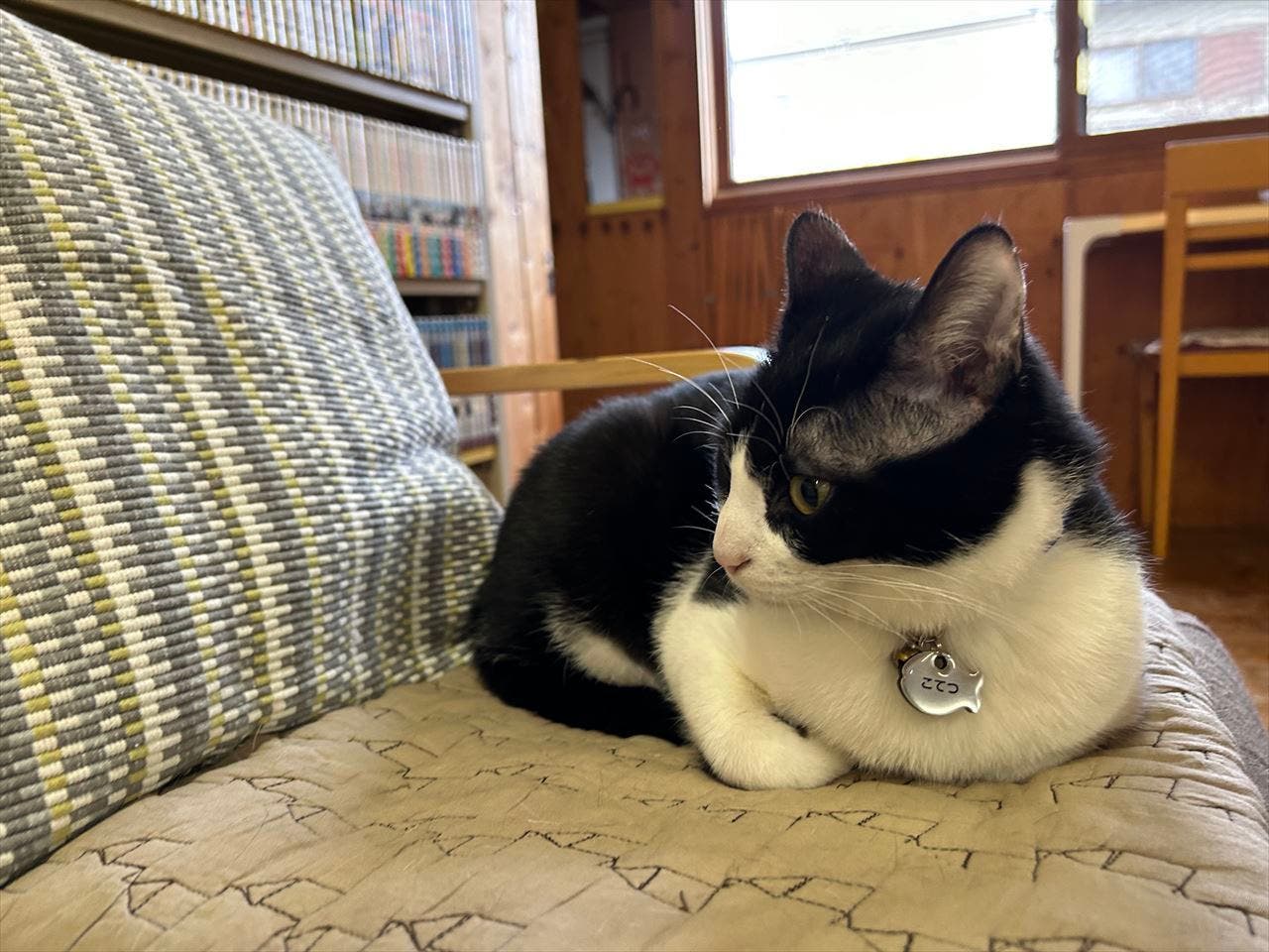 木のぬくもりを感じる個室スペース。様々な目的利用に！猫もいるニャ🐱の写真28