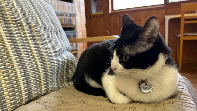 木のぬくもりを感じる個室スペース。様々な目的利用に!猫もいるニャ🐱の写真28