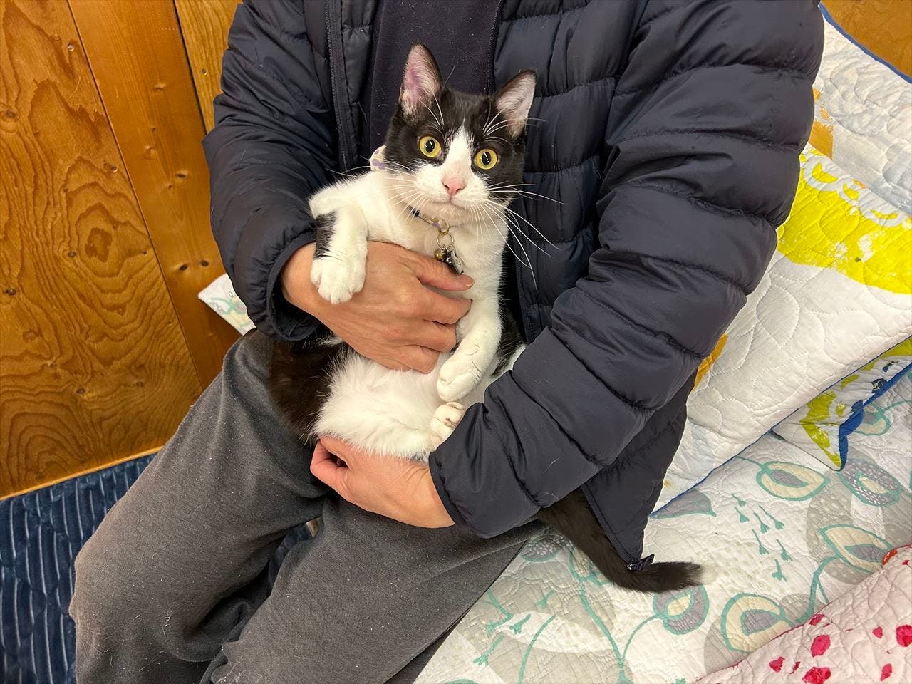 木のぬくもりを感じる個室スペース。様々な目的利用に！猫もいるニャ🐱の写真27