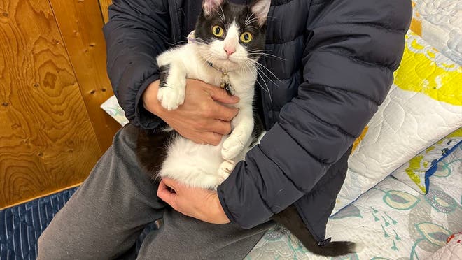 木のぬくもりを感じる個室スペース。様々な目的利用に!猫もいるニャ🐱の写真27