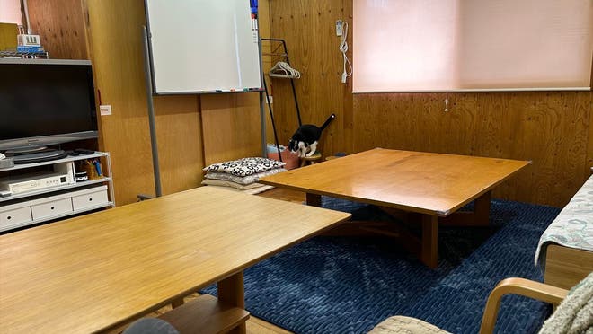 木のぬくもりを感じる個室スペース。様々な目的利用に!猫もいるニャ🐱の写真2
