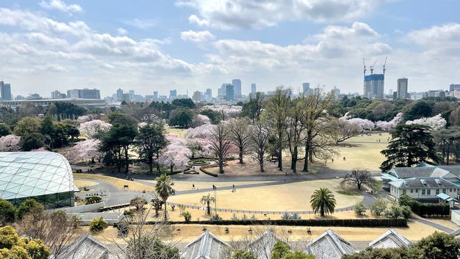 8A【新宿御苑前駅2分】69名着席の会議室!設備・備品が充実♪Wi-Fi無料!清掃で衛生面も安心♥便利な駅近の写真28