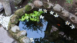 B27 駅からすぐ!都内とは思えない旅館風一軒家の写真3