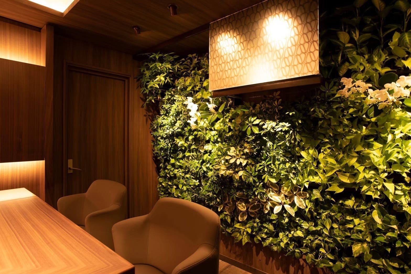 【Cafe & Bar Cocon】映える生花の壁面緑化がある銀座...