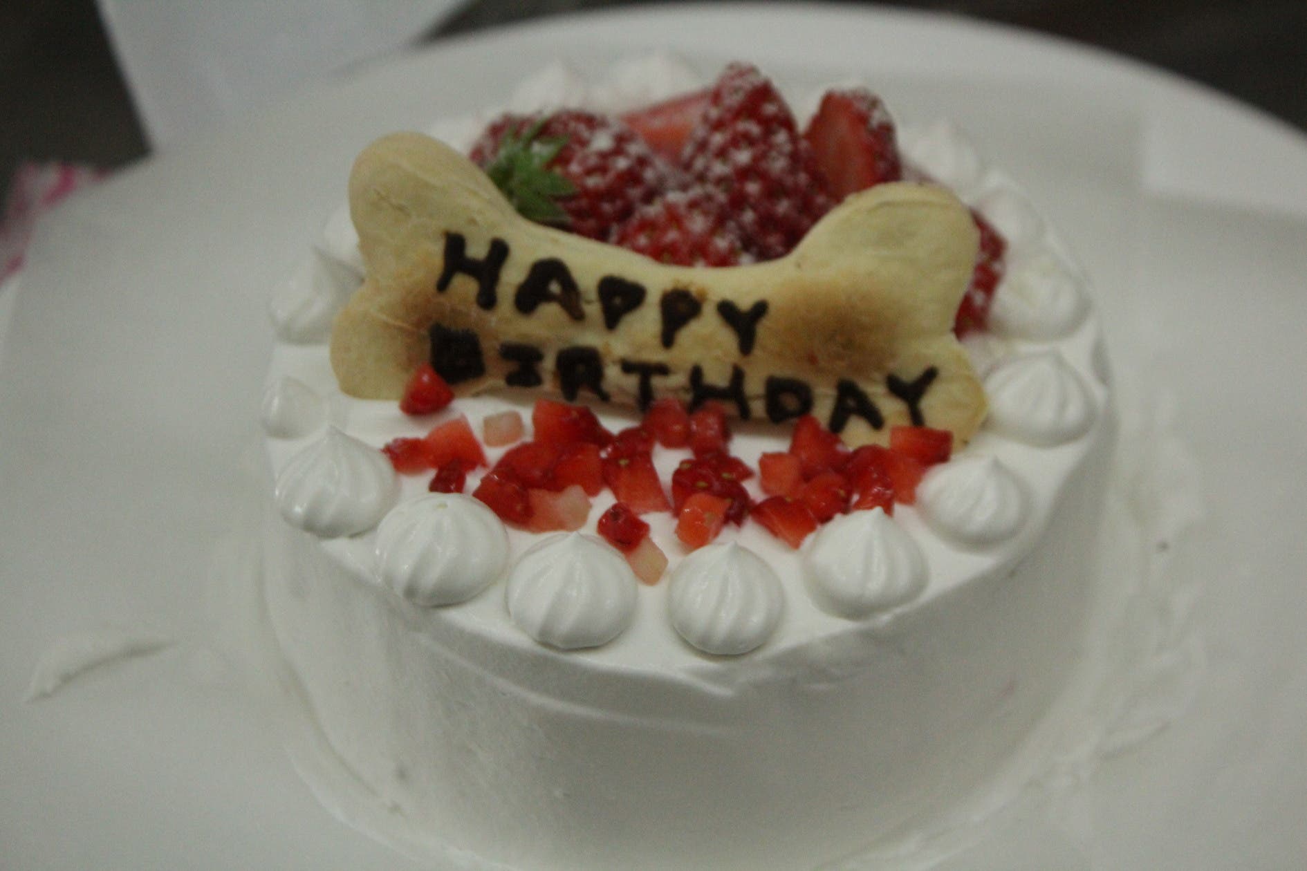 わんこ用バースデイケーキの画像1