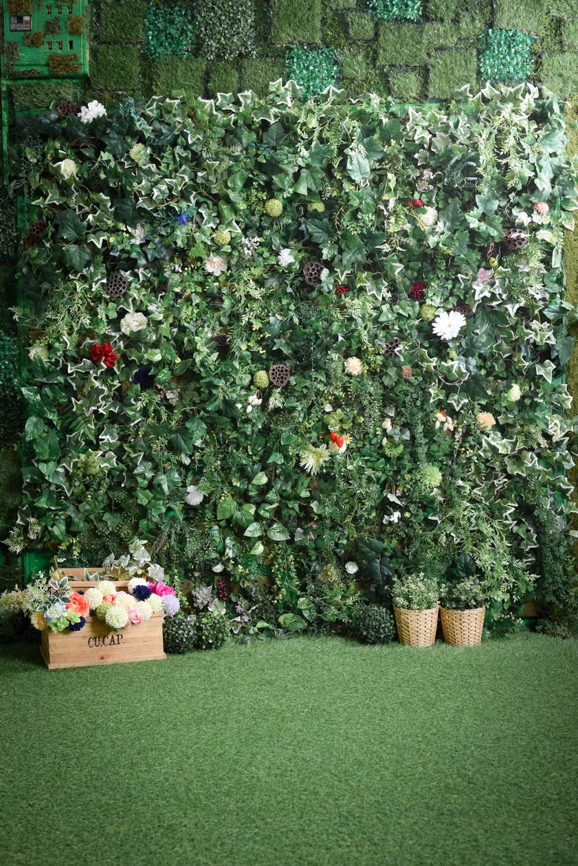 月島のフォトスタジオ/キッズアイテムやわんちゃんグッズ撮影に◎の写真6