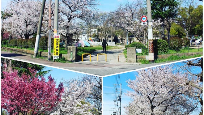 【JR放出駅北口から徒歩圏内!】個人スクール、ミーティングに最適! 女子会・ママ会利用可 / 毎回清掃・除菌グッズで感染症対策の写真16